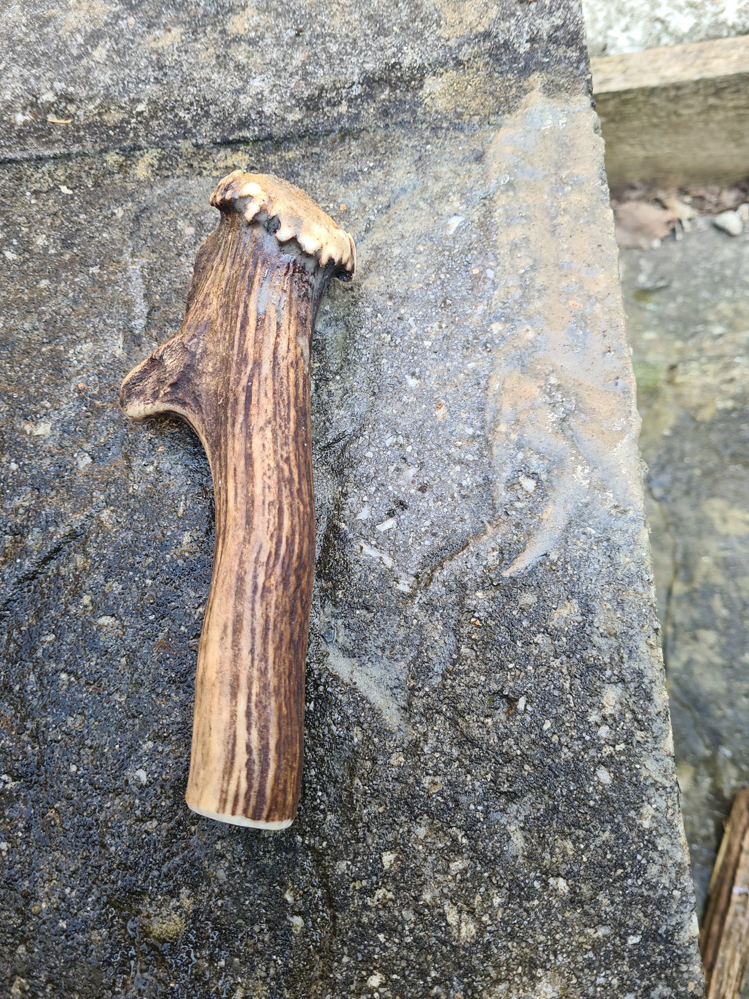 A trip to the upper paleolithic; – The Bushcraft Dude