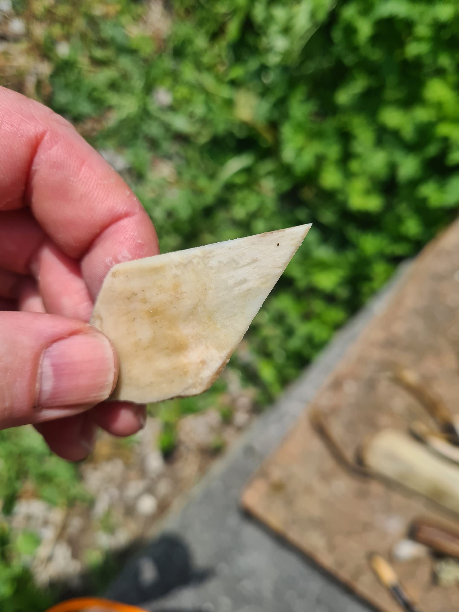 A trip to the upper paleolithic; – The Bushcraft Dude