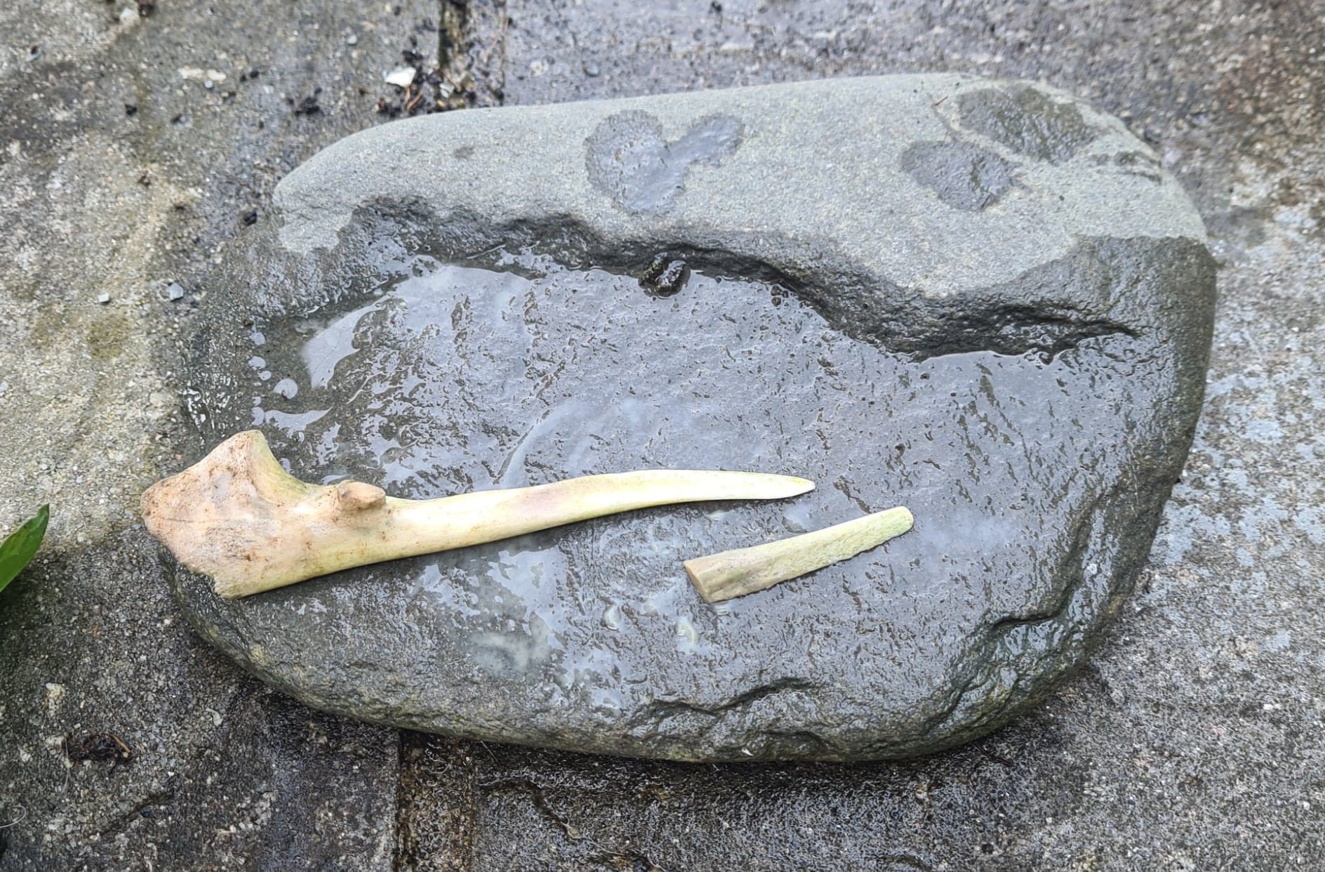 A trip to the upper paleolithic; – The Bushcraft Dude