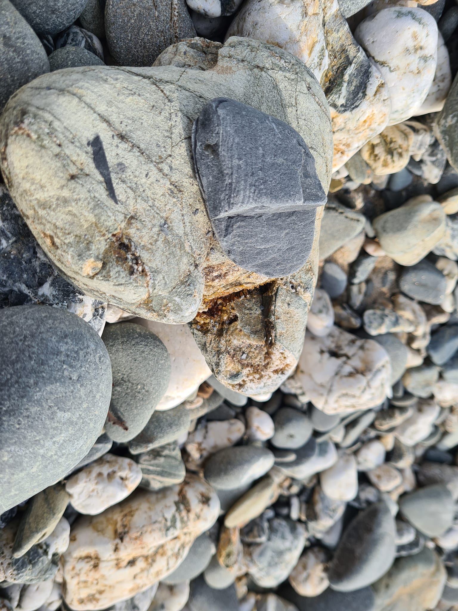 A trip to the upper paleolithic; – The Bushcraft Dude