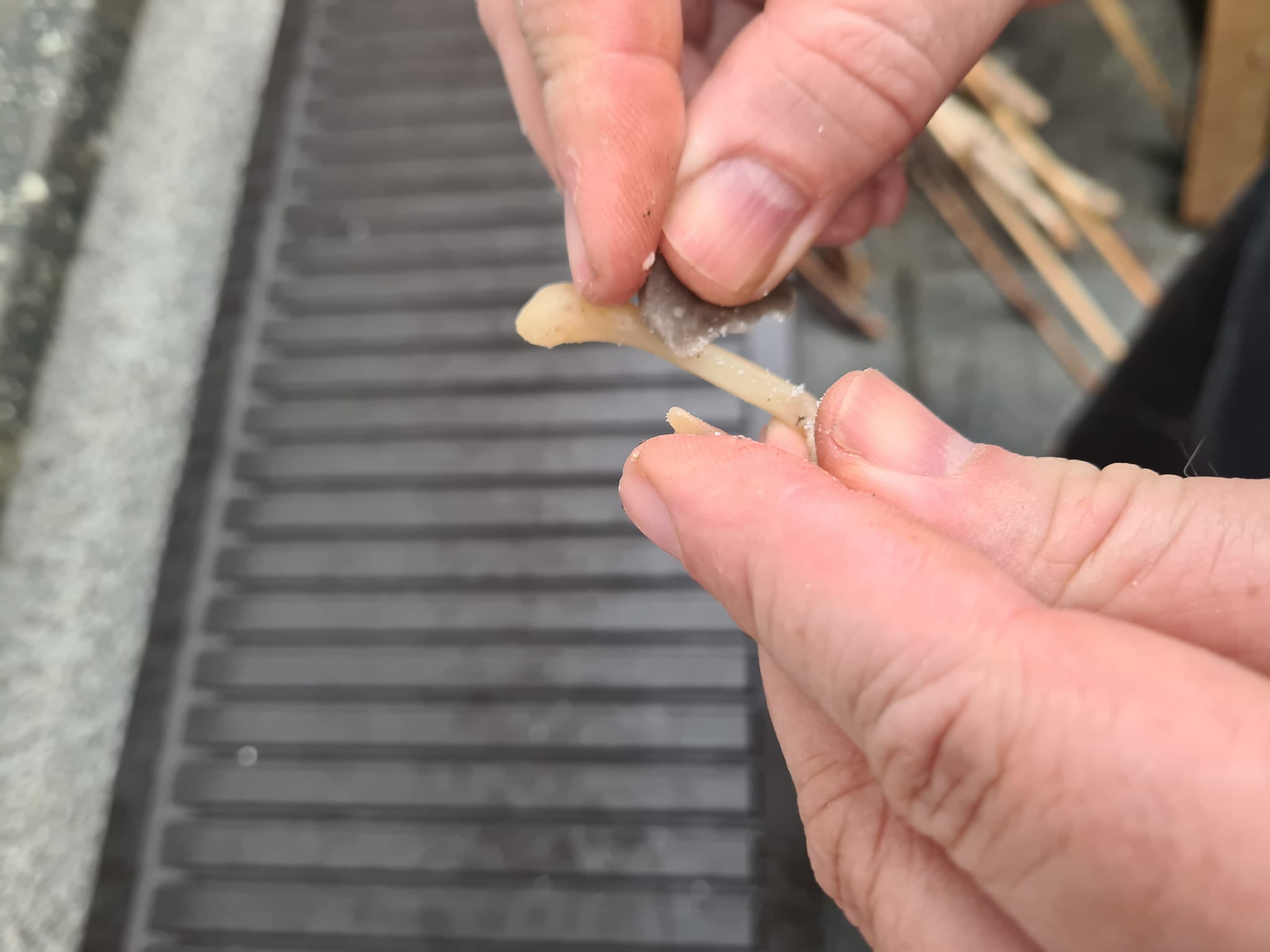 A trip to the upper paleolithic; – The Bushcraft Dude